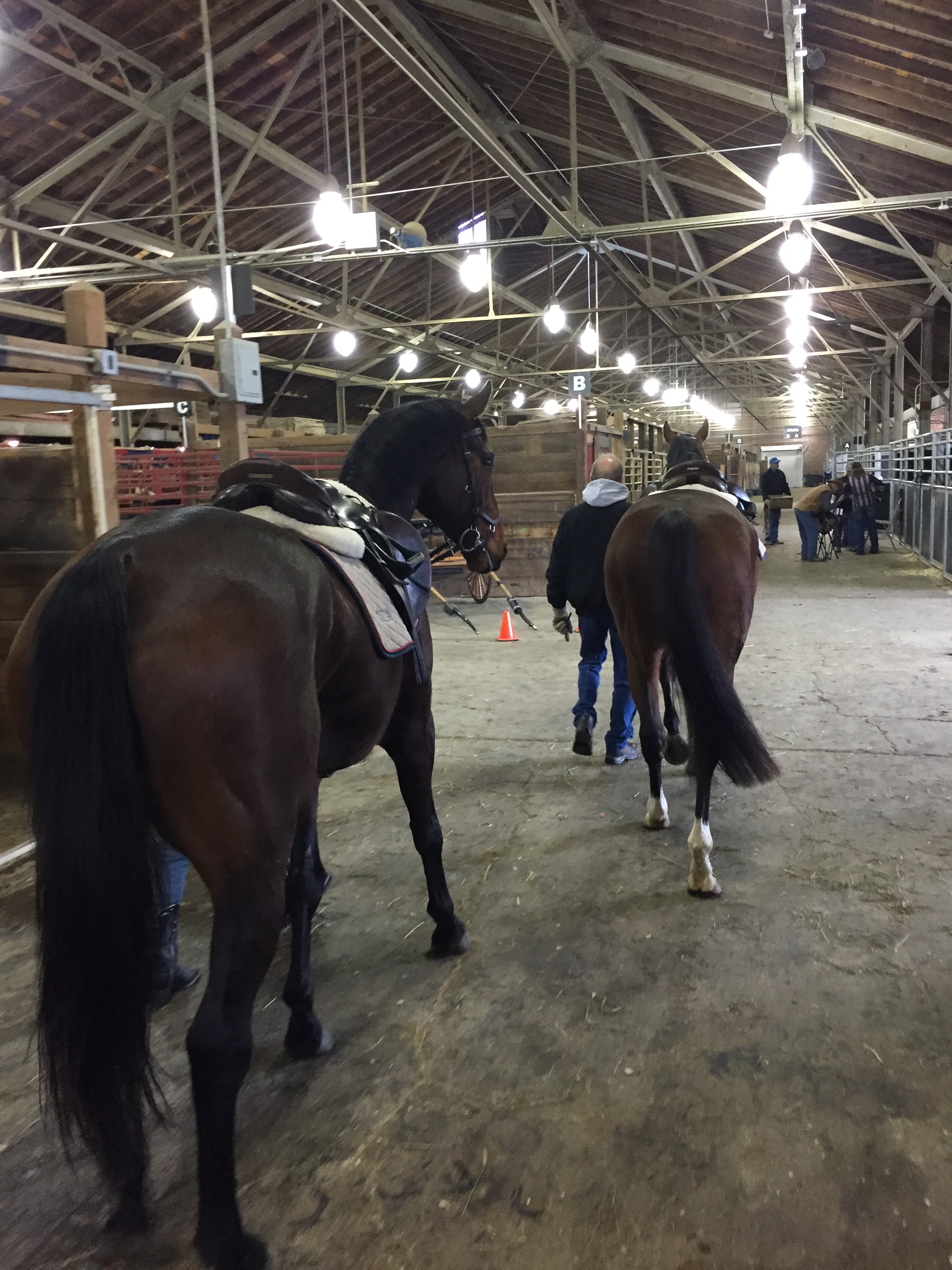 Iowa Horse Fair and Howdy’s People | Horsitivity